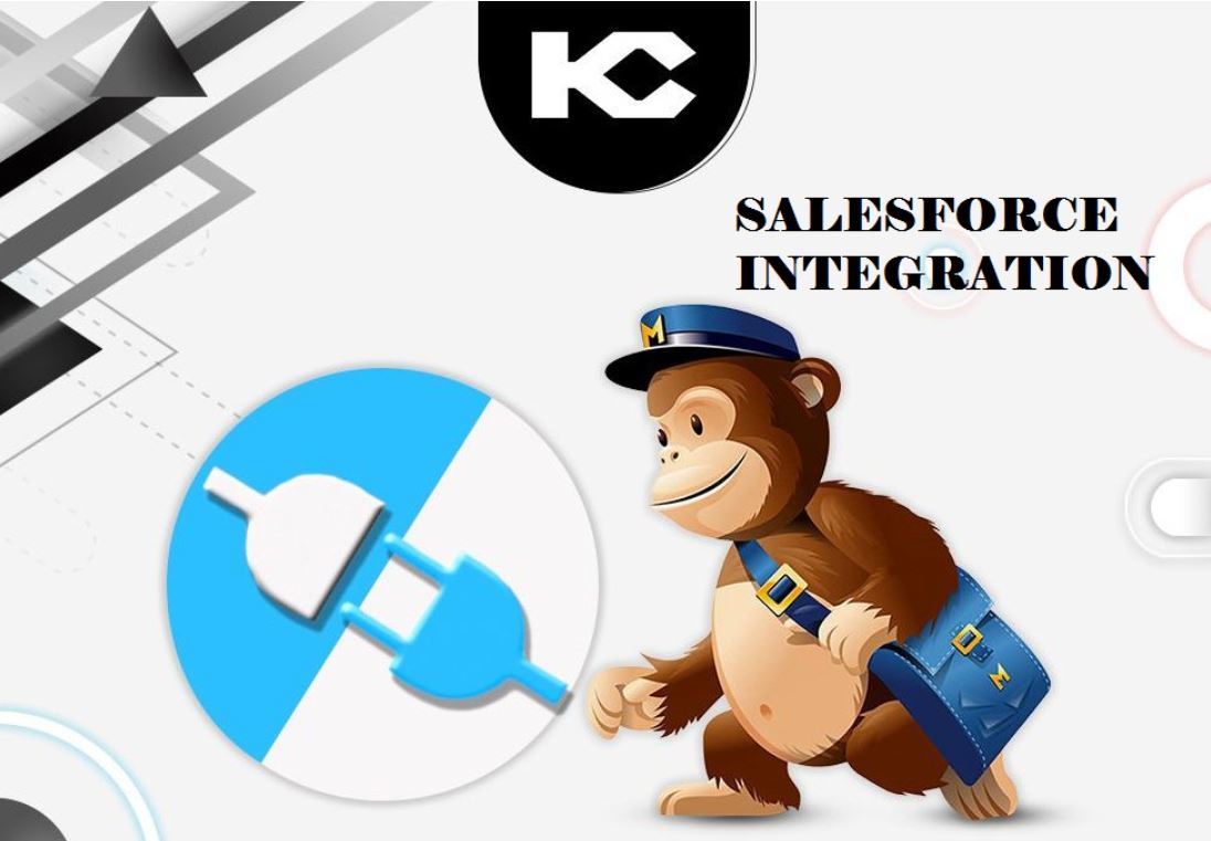Interested In Learning About Salesforce Integration [2023] Kizzy